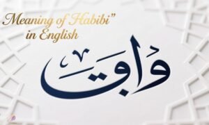 Habibi Meaning: The Complete Guide to an Arabic Term of Endearment